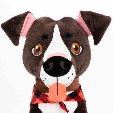 Haminations – Creator Ink