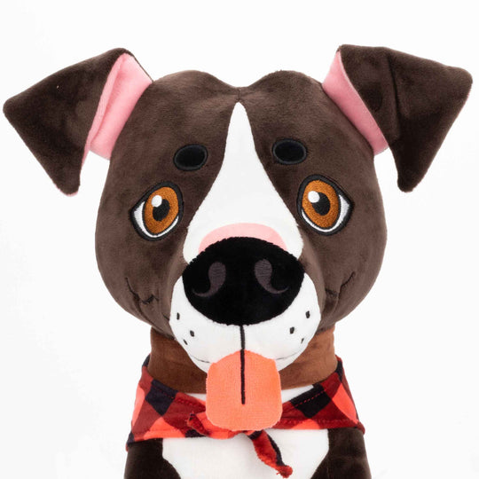 Haminations – Creator Ink